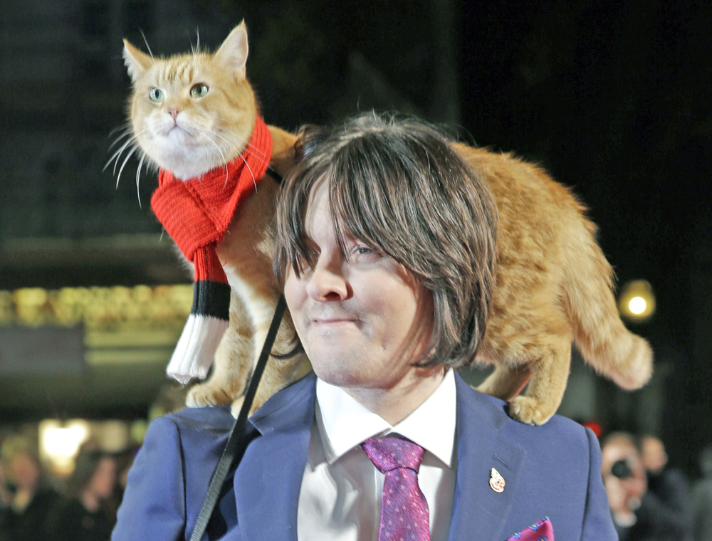 A street cat named Bob | News, Sports, Jobs - Morning Journal